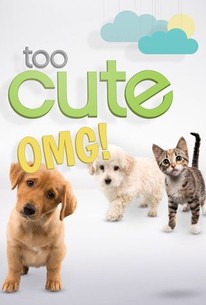 Too Cute: OMG!: Season 2, Episode 4 | Rotten Tomatoes