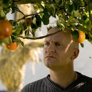 Adam's Apples - Rotten Tomatoes