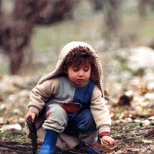 Turtles Can Fly - Rotten Tomatoes