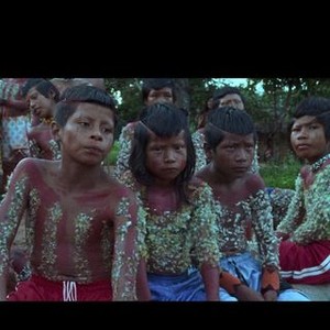 The Buriti Flower - Rotten Tomatoes