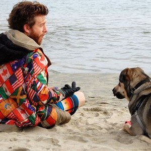 Rescue Dogs: The Movie - Rotten Tomatoes