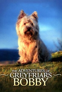 Greyfriars Bobby (2005) | Rotten Tomatoes