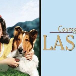 Courage of Lassie - Rotten Tomatoes