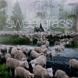 Sweetgrass - Rotten Tomatoes