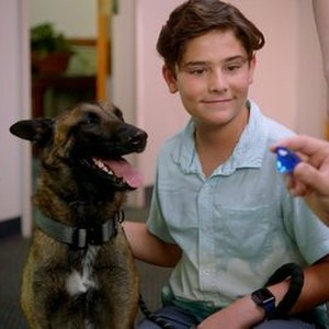 R.A.D.A.R.: The Adventures of the Bionic Dog - Rotten Tomatoes