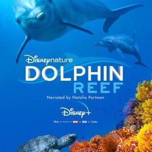Dolphin Reef - Rotten Tomatoes