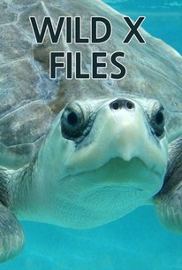 Wild X Files: Season 1 | Rotten Tomatoes