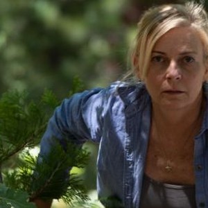 In the Forest - Rotten Tomatoes