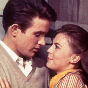 Splendor in the Grass - Rotten Tomatoes