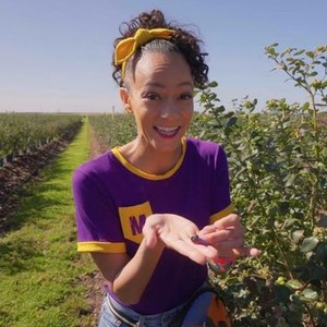 Meekah: Season 1, Episode 15 - Rotten Tomatoes