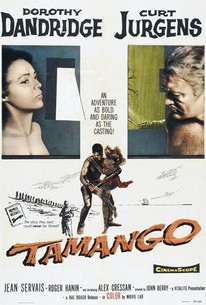 Tamango - Rotten Tomatoes