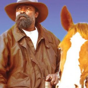 John Ware Reclaimed - Rotten Tomatoes