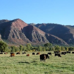 Hanna Ranch - Rotten Tomatoes