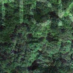 Sticks - Rotten Tomatoes