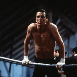 Gary Stretch - Rotten Tomatoes