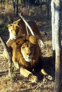 America's Funniest Home Videos: Animal Edition: Season 2, Episode 10 ...