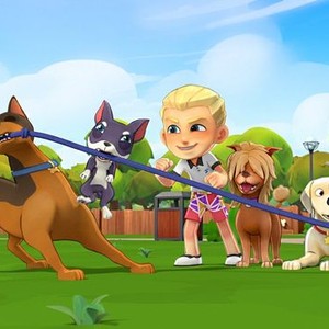 Sharkdog: Season 3, Episode 1 - Rotten Tomatoes