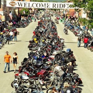 Sturgis Raw - Rotten Tomatoes