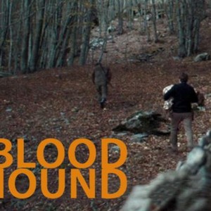 Bloodhound - Rotten Tomatoes