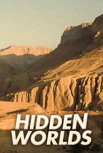 Hidden Worlds | Rotten Tomatoes