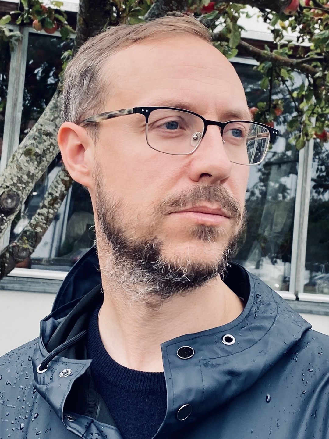 Matthew Collings Pictures | Rotten Tomatoes