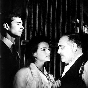 Romy Schneider - Rotten Tomatoes