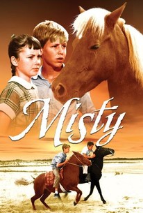 Misty - Movie Reviews | Rotten Tomatoes