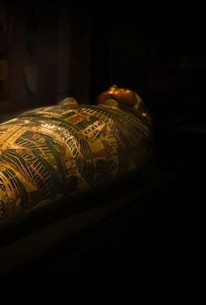 Mummy Detective | Rotten Tomatoes