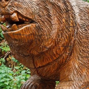 Rotten Tomatoes: Movies | TV Shows | Movie Trailers | Reviews - Rotten ...