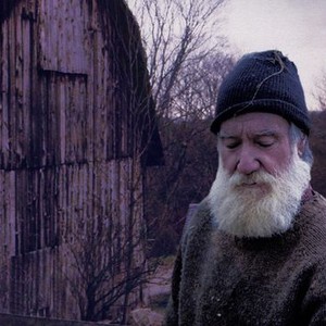 Peter and the Farm (2016) - Rotten Tomatoes