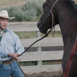 Brady Jandreau - Rotten Tomatoes